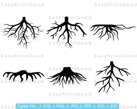 Roots Svg Tree Roots Svg Root Clipart Family Svg Root Etsy