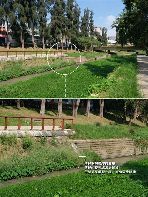 深圳大沙河生态长廊 【驳岸做法】 小红书 花瓣网