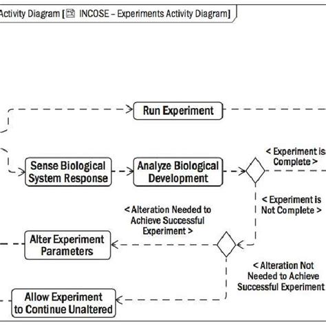 sysml activity diagram showing the process flow of typical biomedical