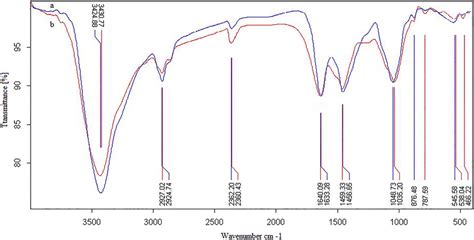 Ftir Spectrum Before A And After B The Synthesis Of Ag‐nps Download Scientific Diagram