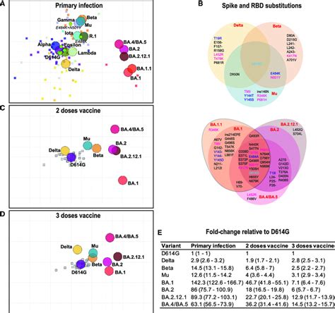 Antigenic Maps Made With Neutralization Titers From Single Antigen Download Scientific Diagram
