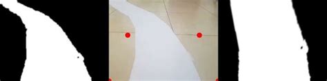 The Principle Of Extracting Images To The Processing Area Download