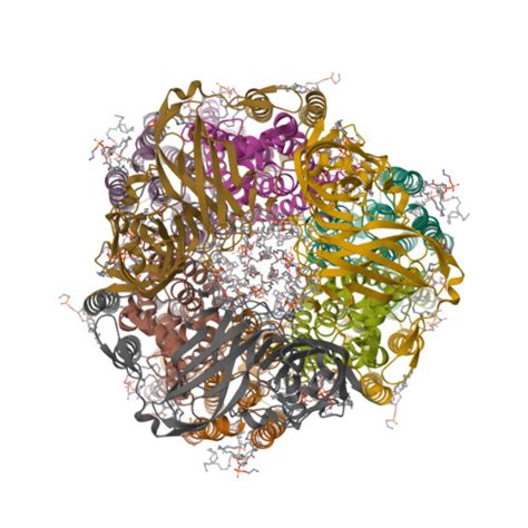 Rcsb Pdb 9cl4 Particulate Methane Monooxygenase In Crosslinked