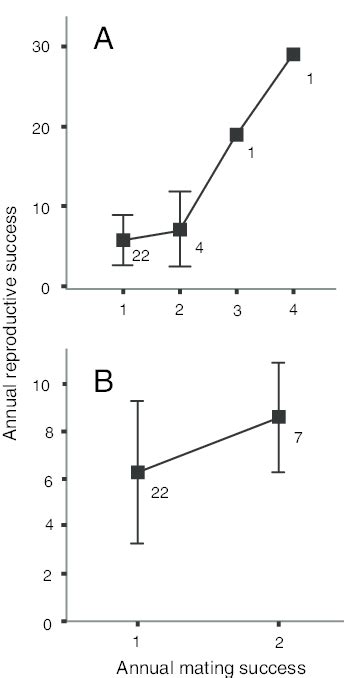 Bateman Gradients—the Relationship Between Reproductive Success Ie Download Scientific