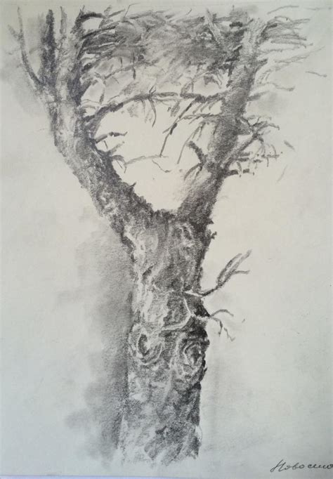 Tree Scetch By Earstwindart On Deviantart