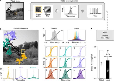 Adaptation Can Improve Performance On Sensory Tasks A A Download