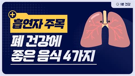 흡연자 주목 폐 건강에 좋은 음식 Best 4 Youtube