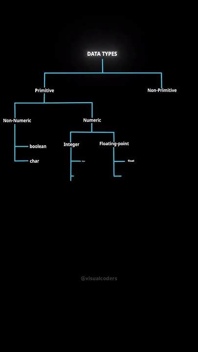 Data Types In Programming Explained Visually Int Float String