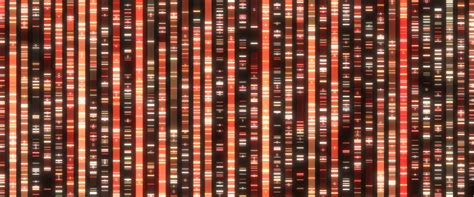 Genomics Data Management And Storage Solutions Pure Storage