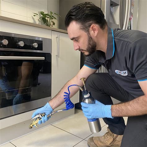 Expert Pest Control Services