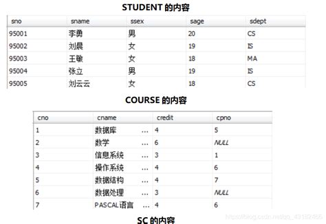 数据更新 实验七 实验七数据更新 csdn博客