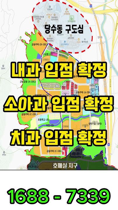 수원 내과 소아과 치과 입점 약국 분양 1688 7339 약국분양 신규개국자리 약국 Youtube