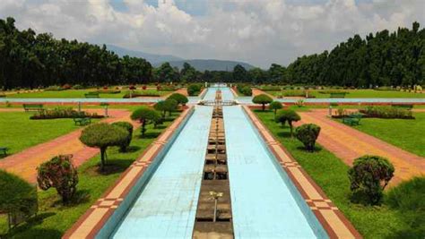 Free Ipmat Mock Tests Ai Based Mocks Platform