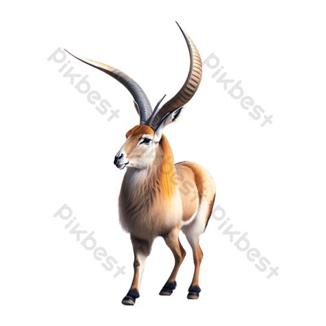 Beautiful Deer Free PNG PNG Images PSD Free Download Pikbest
