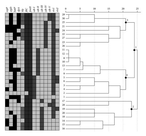 Dendrogram Using Average Linkage Between Groups This Figure