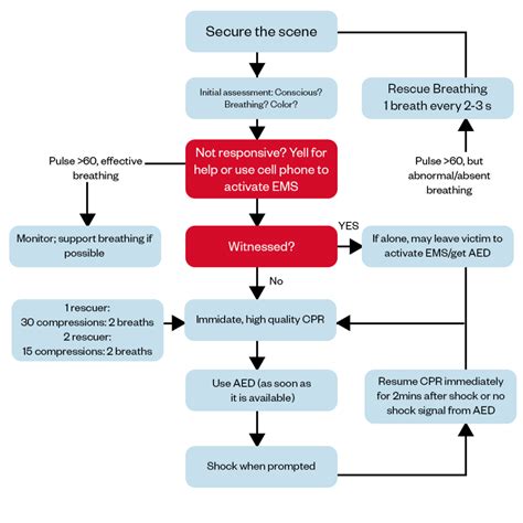pals algorithm aha pediatric advanced life support 2020 2025 guidelines