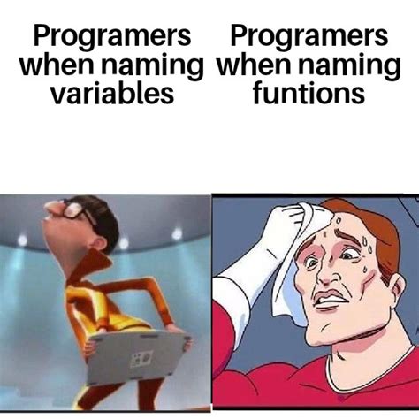 anyone relate r programmerhumor