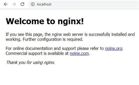 How To Install And Run The Nginx Server On Windows 10