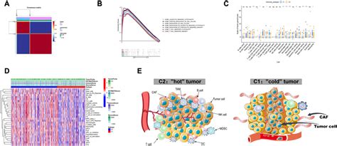 Frontiers An Integrated Bioinformatic Analysis Of Bulk And Single Cell Sequencing Clarifies