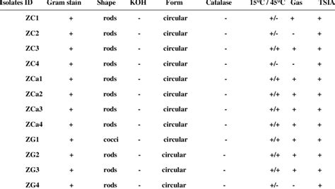 Colony Morphologies And Biochemical Characteristics Of Lactic Acid