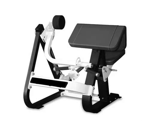 Bicep Curl Machine For Gym At Rs In Ahmedabad ID