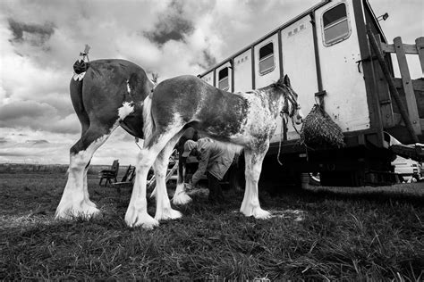 Carnwath Agricultural Show 2023 — Progressive Street