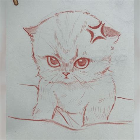 Cute Cat Sketch Милые рисунки Иллюстрации клоунов Наброски
