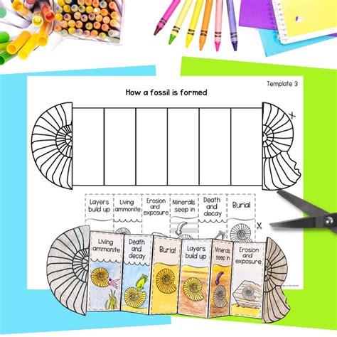 How A Fossil Is Formed Foldable Sequencing Activity Pdf For Dinosaur