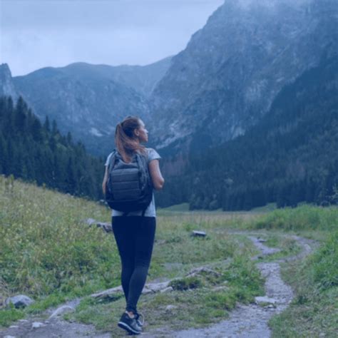 What Is A Secret Sexual Basement What You Need To Know