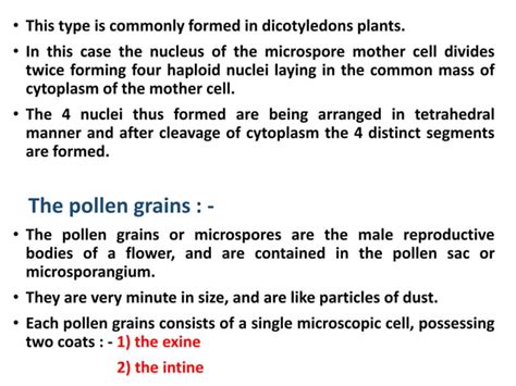 Microsporangium Pptx