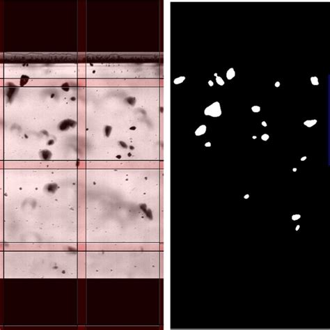 Interrogation Window Segments With Overlap Left Change In Window Download Scientific Diagram