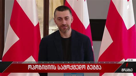 ოპოზიციის სამოქმედო გეგმა Youtube