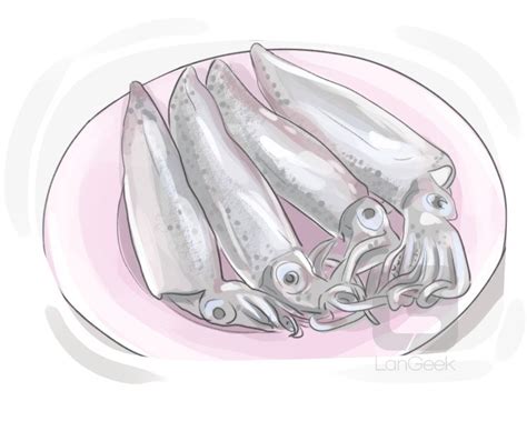 Definition Meaning Of Squid LanGeek