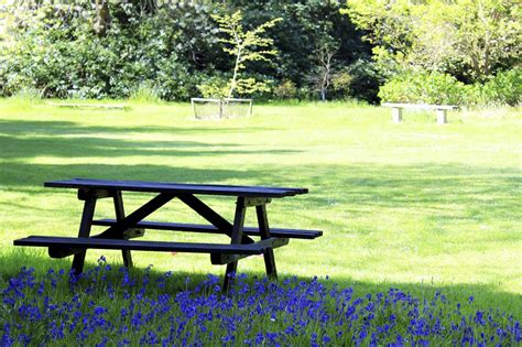 Sex Mit Skurrilen Objekten Die 12 Seltsamsten Objekte Mit Denen