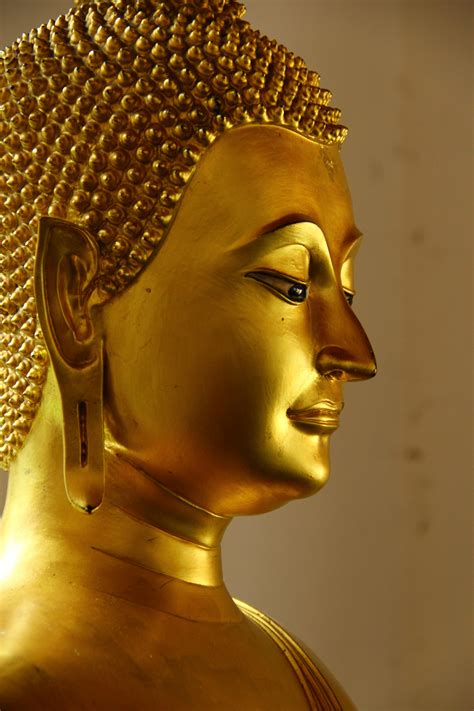 Buddha Ambedkar Photos Download The Best Free Buddha Ambedkar Stock