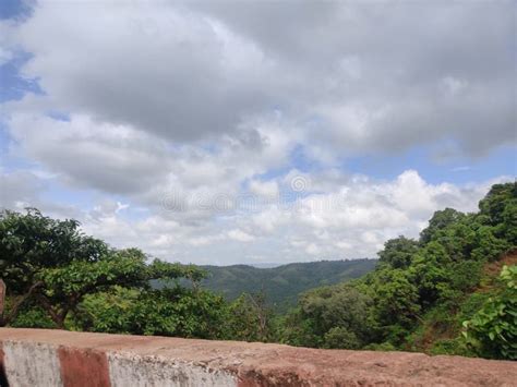 Perfect Photo Of Environment Nature Stock Image Image Of Trees Plants 322834325