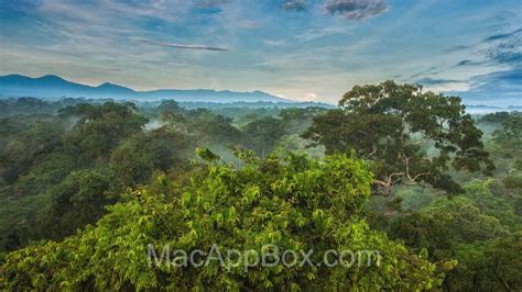 2021年06月必应壁纸打包下载 Macbox App