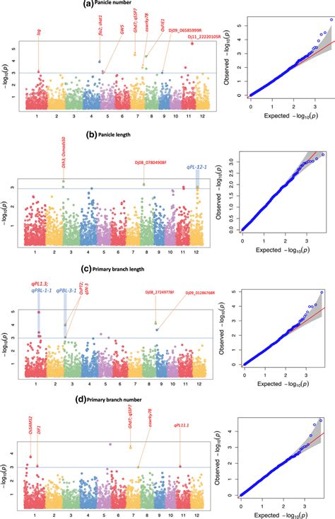 The Manhattan Plots Show The Level Of Significance Snps For Each Trait Download Scientific