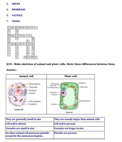 ch 8 cell structure and functions page wise ncert solution