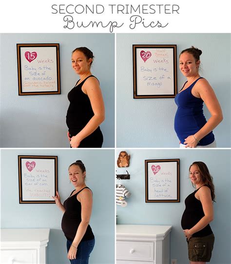 Second Trimester Bumps And Must Haves For A Summer Bump Habitual
