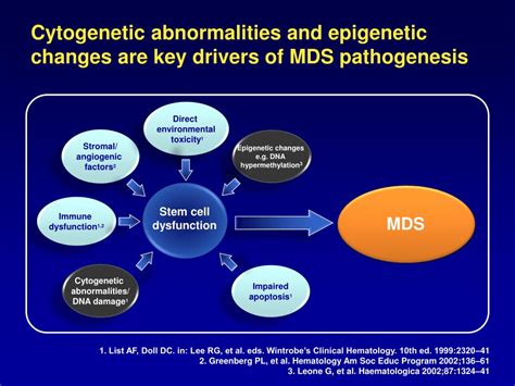 Ppt What Is Mds Powerpoint Presentation Free Download Id 7001127