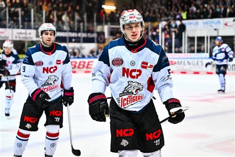 Straubing Tigers Bestätigen Transfers Von Tim Fleischer Und Danjo