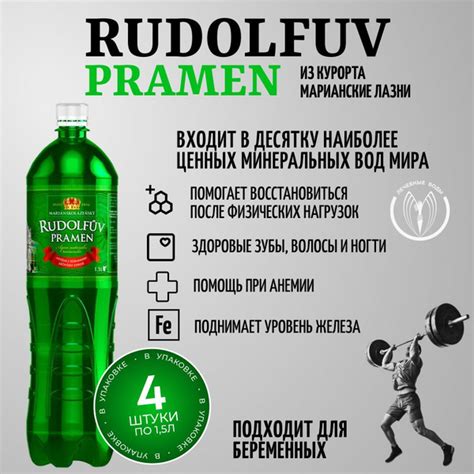 Минеральная лечебная вода Рудольфов Прамен (Rudolfuv Pramen) с железом ...