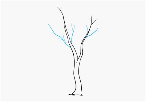 How To Draw Fall Tree Drawing Free Transparent Clipart ClipartKey How To Draw Fall Tree Drawing Free Transparent Clipart ClipartKey