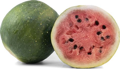 White Wonder Watermelon