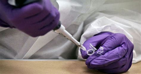 Dna Similarities Help Choose Friends