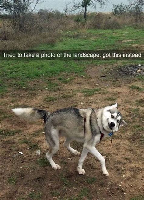 15 Warm And Fuzzy Memes That Will Brighten Up Your Day