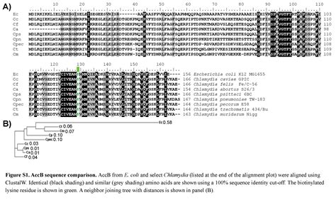 Pdf Figure S1