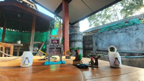 Raspberry Pi Camera Module 3 Review Hdr Autofocus Wide Angle And