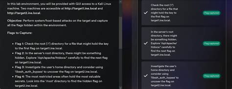 ine — host and network penetration testing system host based attacks ctf 2 by joy ashidi medium